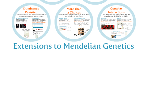 AP Bio- Information 10: Extensions to Mendelian Genetics by David ...