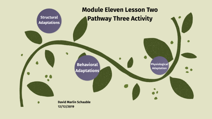 Module Eleven Lesson Two Pathway Three Activity by David Schauble on Prezi
