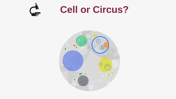 Animal Cell as a Circus by Amani Hendricks on Prezi