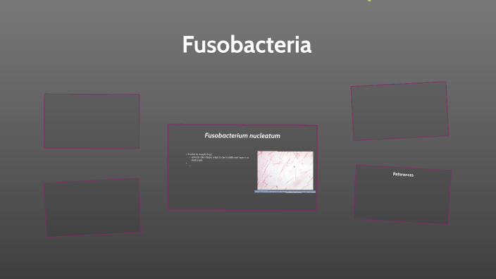 Fusobacteria by Claudine Manabat on Prezi