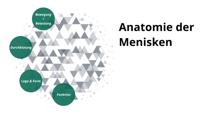 Anatomie Menisken by nico Küthe on Prezi