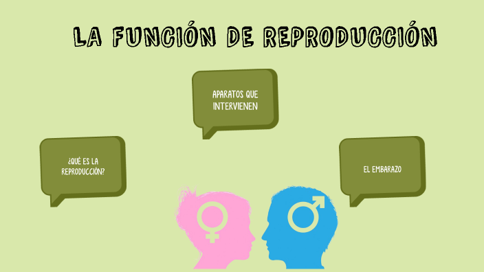 LA FUNCIÓN DE REPRODUCCIÓN by Isabel Gómez Durán on Prezi
