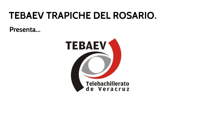 Tebaev Logo