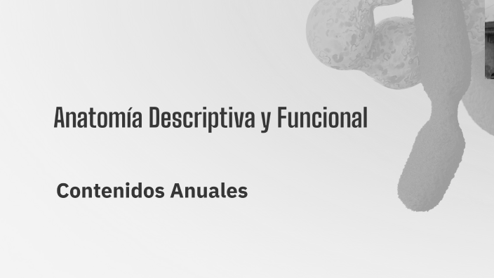 Anatomía Descriptiva y Funcional by Ramiro Castro on Prezi