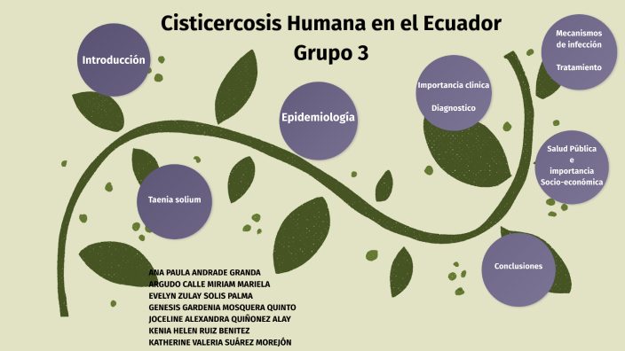 Cisticercosis Humana en el Ecuador by Alex 123 on Prezi