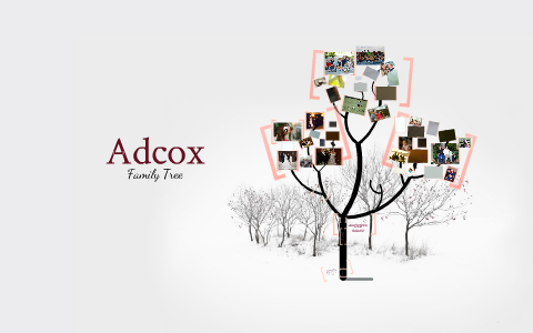 Adcox Tree by Jason Adcox on Prezi