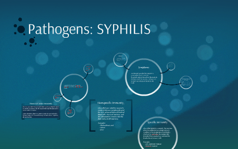 Pathogens: SYPHILIS by Stephanie Rowarth-West on Prezi