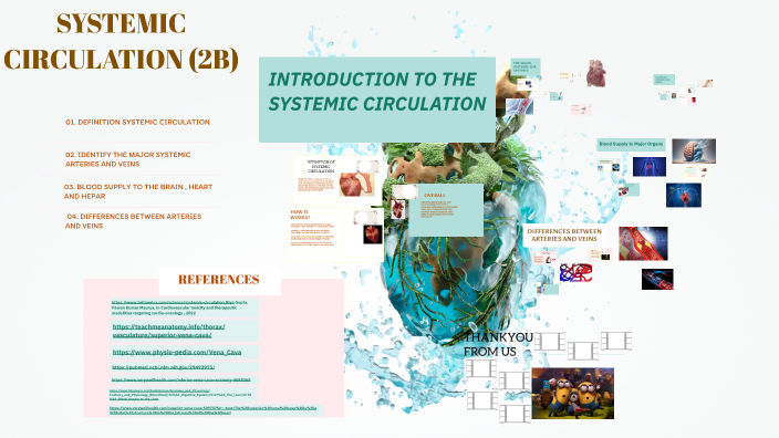 Systemic Circulation by nur zulaikha on Prezi