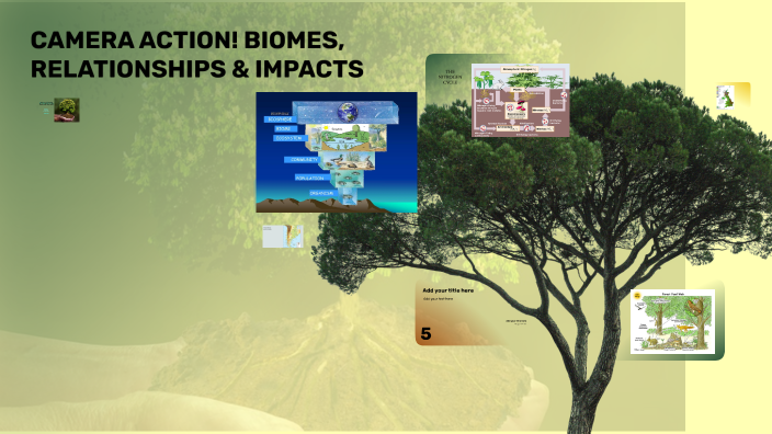 CAMERA ACTION! BIOMES, RELATIONSHIPS & IMPACTS by Dave Underhill on Prezi