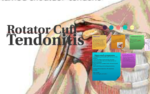 Rotator Cuff by Emily Vlahakis on Prezi