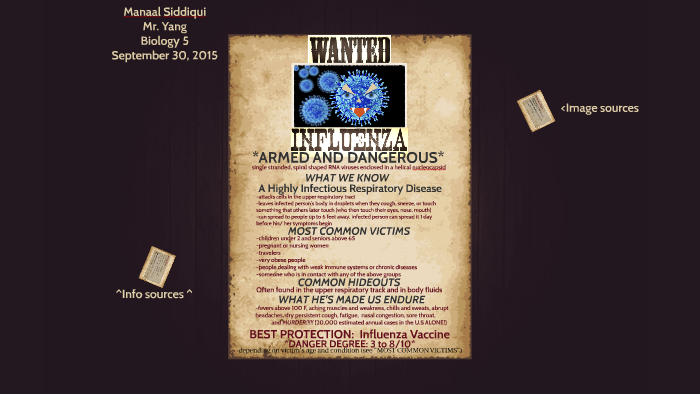 Influenza Wanted Poster by on Prezi