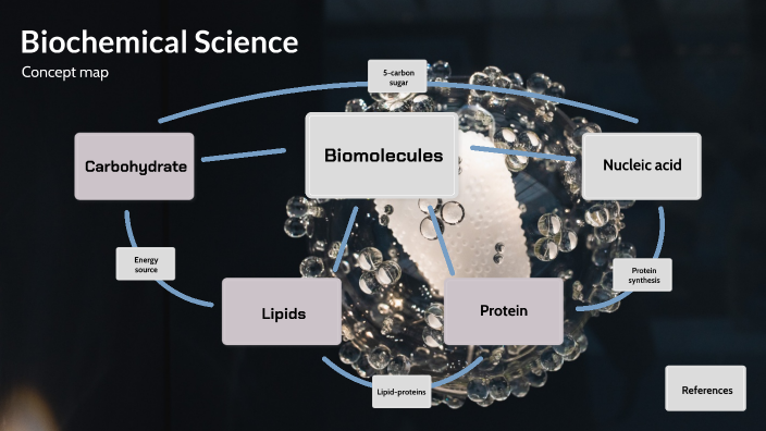 Biomolecules concept map by Phoebe Chuah on Prezi