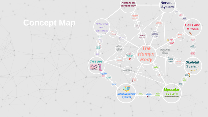 Bio Lab Concept Map by Sophie Poirier on Prezi
