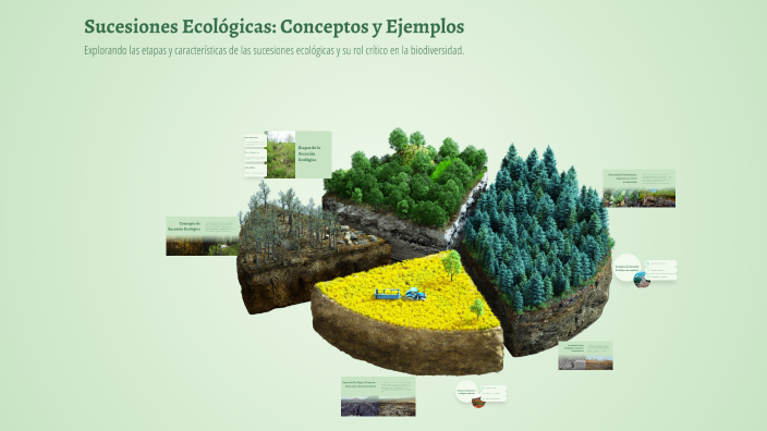 Sucesiones Ecológicas: Conceptos y Ejemplos by Sarai Castro on Prezi