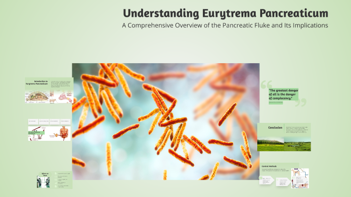 Understanding Eurytrema Pancreaticum by Ralph Nova on Prezi