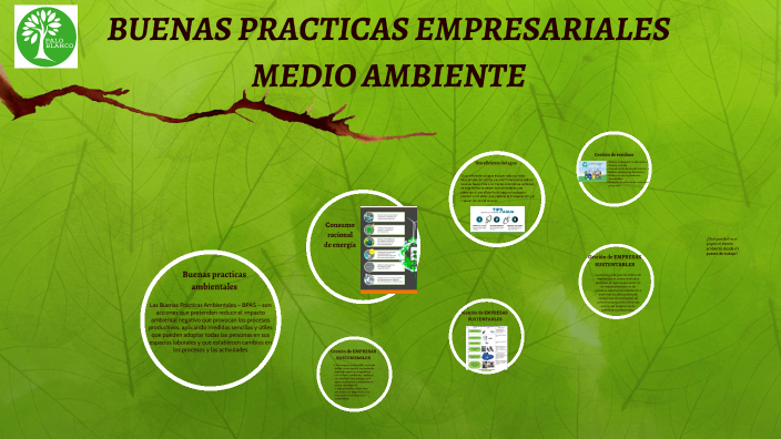 Buenas Practicas Empresariales Para La Protección Del Medio Ambiente By