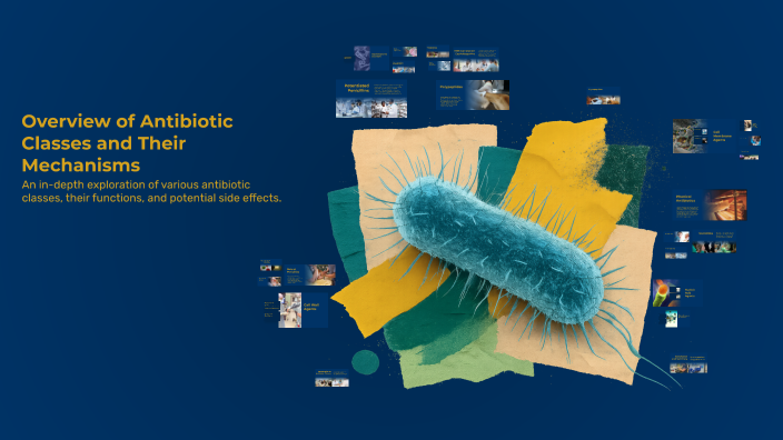 Overview of Antibiotic Classes and Their Mechanisms by Emily Smith on Prezi