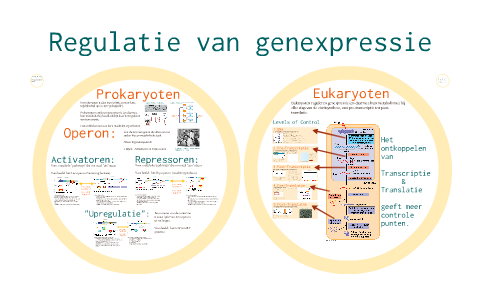 Genetica: Deel 6 - Regulatie van genexpressie by Pascal van de ...