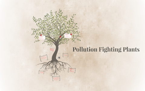 Pollution Fighting Plants by Jess Bailes on Prezi