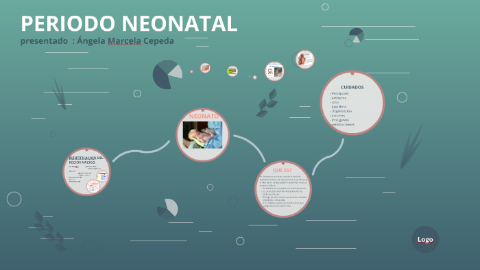 periodo neonatal by shadia martinez on Prezi