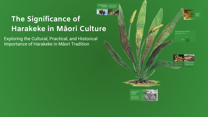 The Significance of Harakeke in Māori Culture by Alyssa Wijns on Prezi