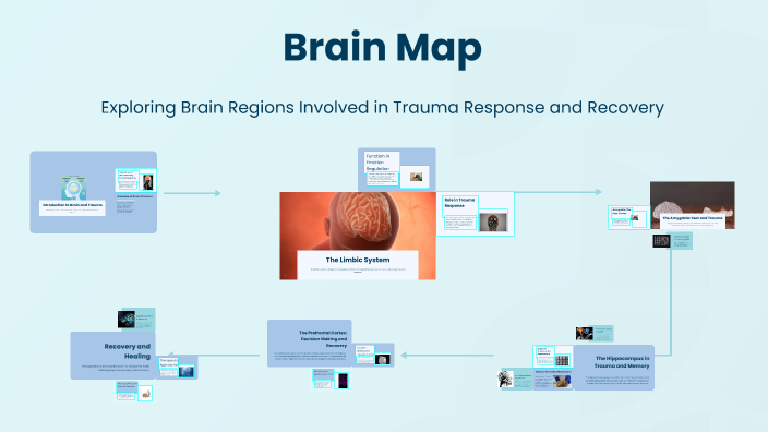 Brain Map by Sonya Gracey on Prezi