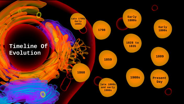 Timeline Of Evolution by Amber Saxby on Prezi