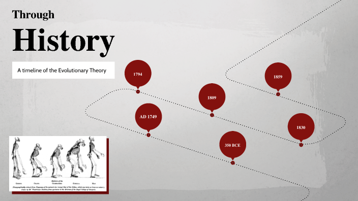 Timeline of evolutionary theory - LACRA (11 STEM 2 BJCC) lesson 3-act2 ...