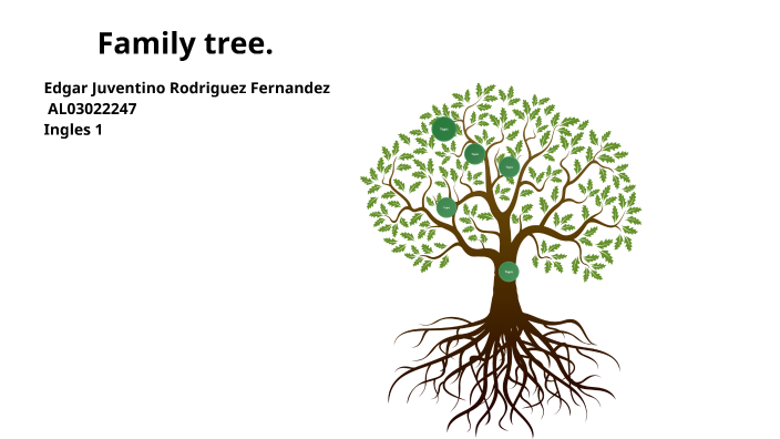 Family tree by on Prezi