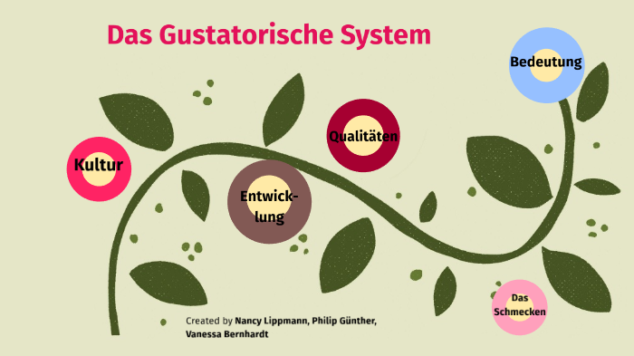 Das Gustatorische System by Vanessa Bernhardt on Prezi