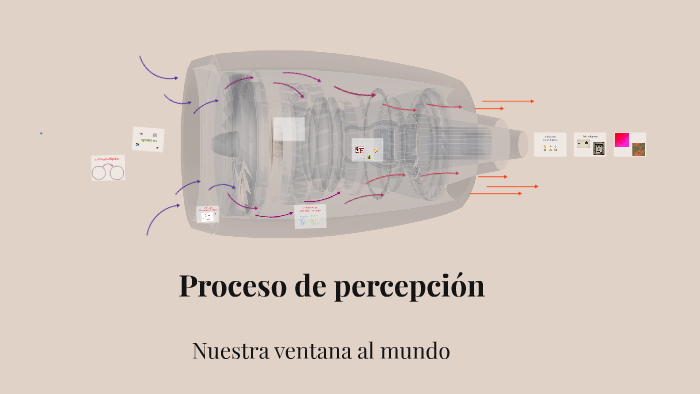 Proceso de percepción by Nati U.R on Prezi