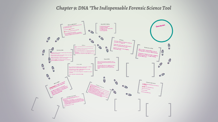 Chapter 9: DNA "The Indispensable Forensic Science Tool by Sabrina ...