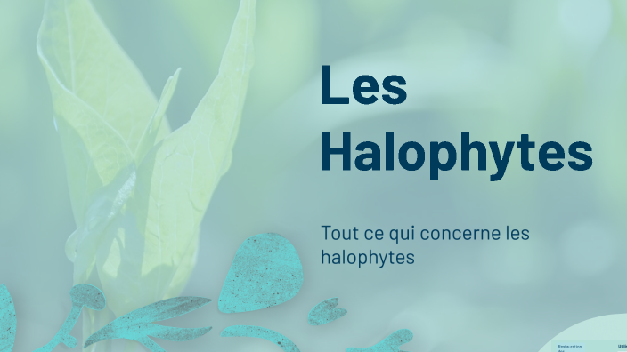 Les Halophytes by s s on Prezi