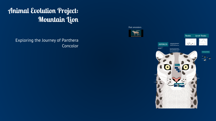 Animal Evolution Project: Mountain Lion by Cole Niemeyer on Prezi