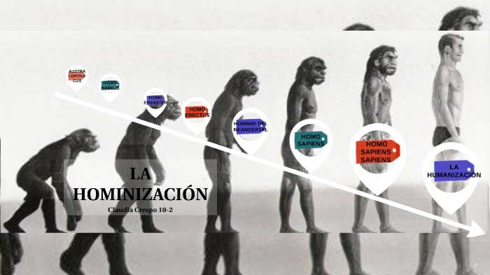 LA HOMONIZACIÓN Y LA HUMANIZACIÓN by Claudia Crespo Monfort on Prezi