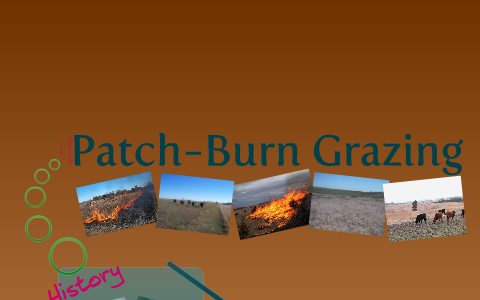 Patch-Burn Grazing by Kristen Casey on Prezi