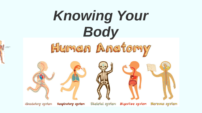 Knowing Your Body by Monica Trevino on Prezi