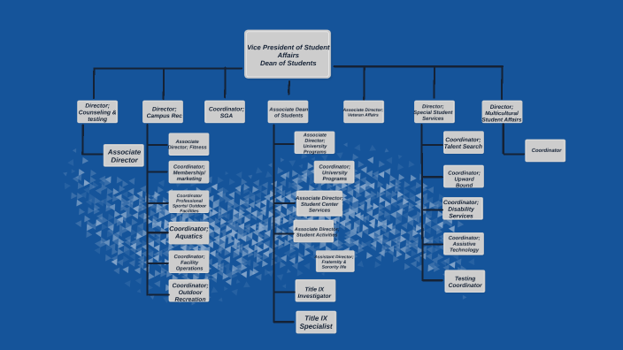 SA Flow Chart by Ansley Romero on Prezi
