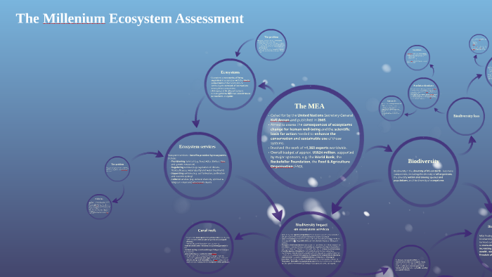 The Millenium Ecosystem Assessment by Solly Long on Prezi