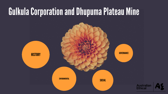 Gulkula Corporation and the Dhupuma Plateau Mine by Shashwat Khosla on ...