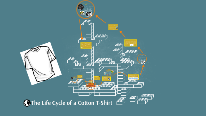 The Life Cycle of a Cotton T-Shirt by Alex Seymour on Prezi