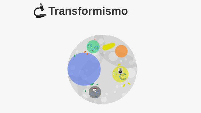 Transformismo by brenda ortega fonseca on Prezi