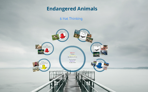 6 Hat Thinking: Endangered Animals by Tash Ryke on Prezi