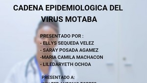 CADENA EPIDEMIOLOGIA DEL VIRUS MOTABA by Liledaryeth Ochoa Garcia on ...