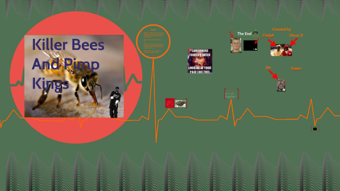 KIller Bees And Pimp Kings by Conor Doyle on Prezi