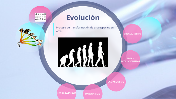 Evolución by Lydia Lorenzo on Prezi