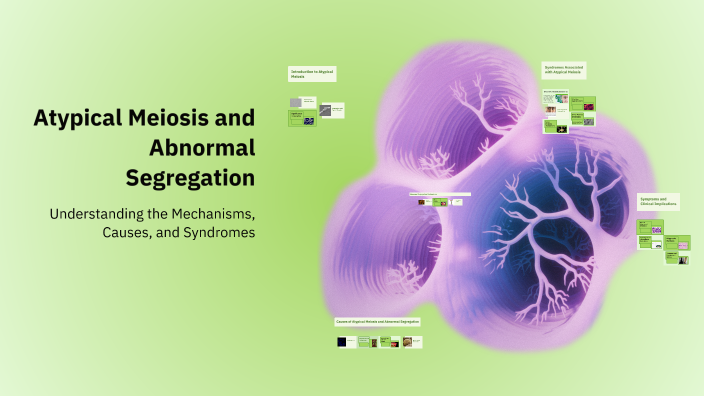 Atypical Meiosis and Abnormal Segregation by Oritshegbubemi Agbeyegbe ...