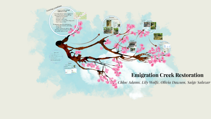 Emigration Creek Restoration by Saige Salazar on Prezi