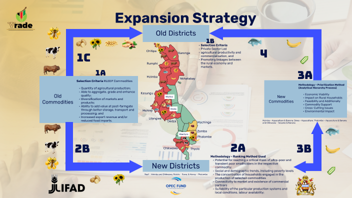 TRADE Expansion Strategy by Arthur Ngwende on Prezi
