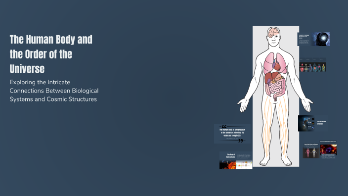 The Human Body and the Order of the Universe by Ibrahim Temur on Prezi